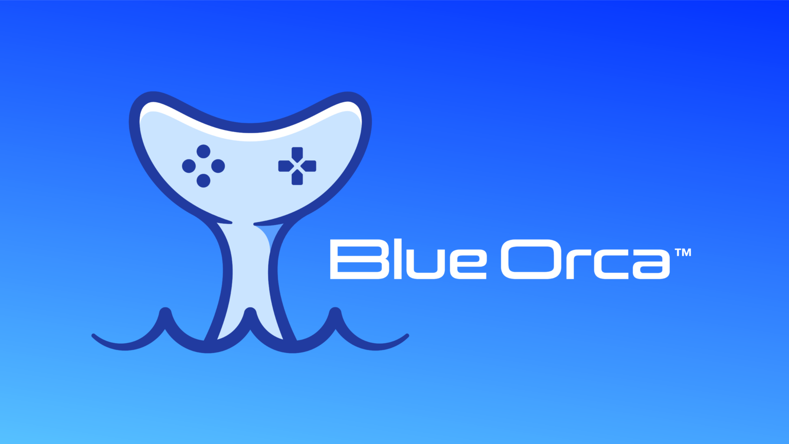 Blue Orca DotCom | Domain Name For Sale | The Name Guy™
