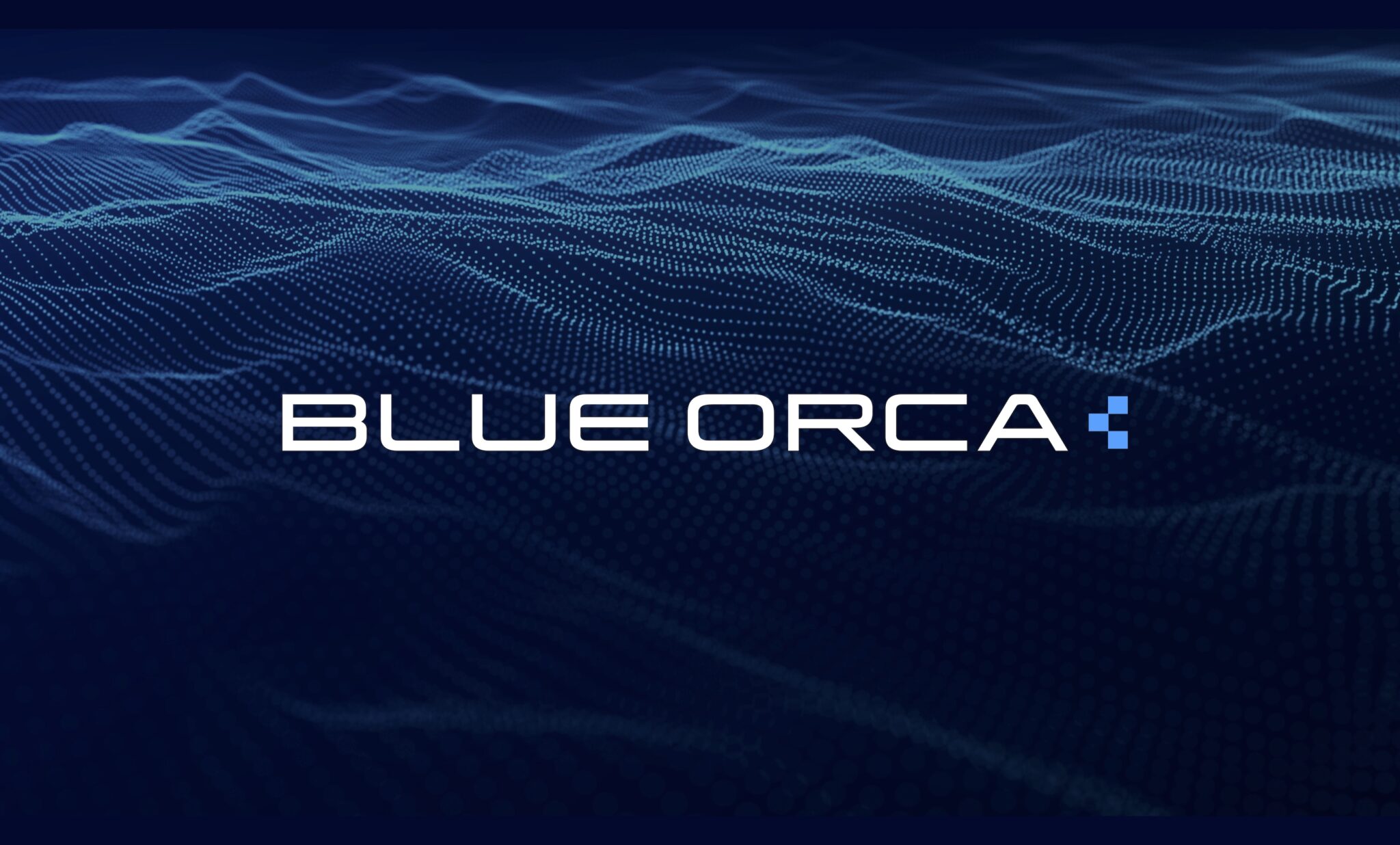 BlueOrca.com is For Sale | What Is Blue Orca | The Name Guy™